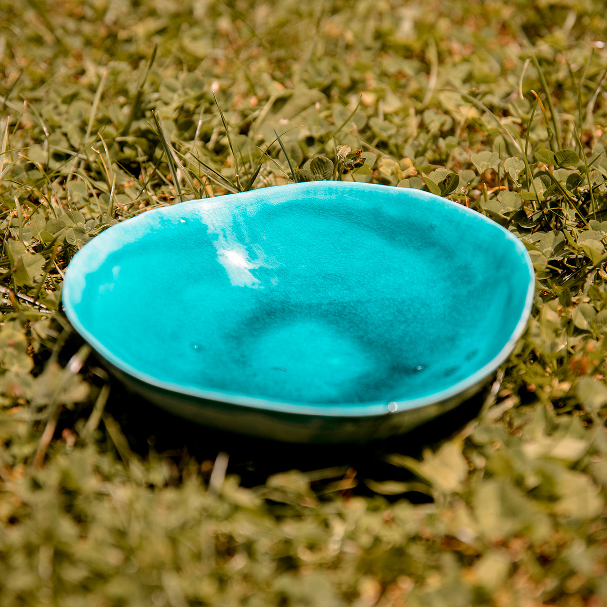 Neptune Bowl – Womb Bowls